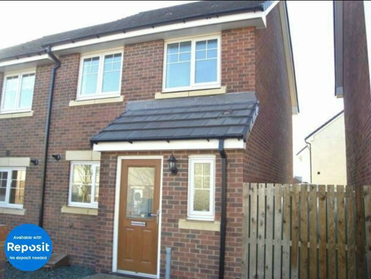 3 Bed Semi Detached House To Rent In Cotherstone Court Easington Lane