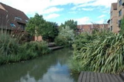 5 bed town house to rent in Leerdam Drive, Mudchute/Isle Of Dogs E14, £ ...