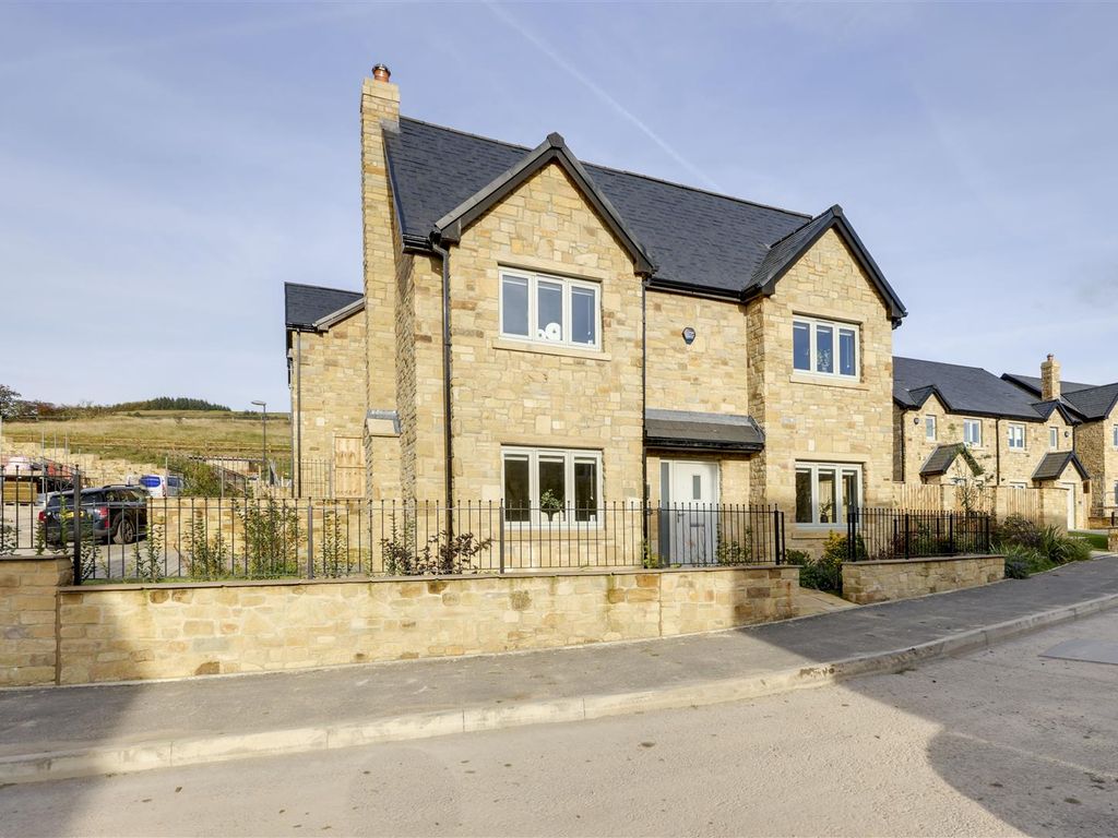 New home, 4 bed detached house for sale in Meadow Edge Close, Higher ...