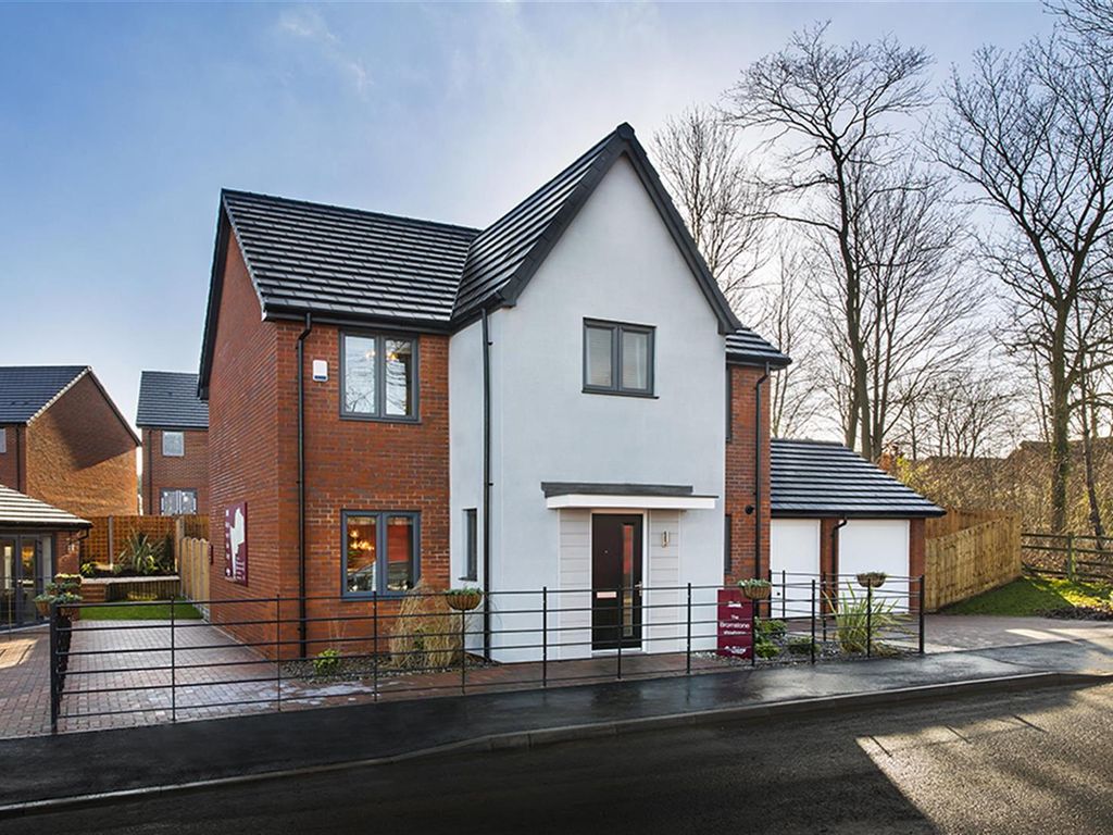 New home, 4 bed detached house for sale in Manor Grange, Ortensia Drive ...