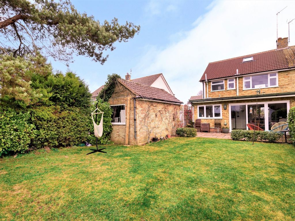 3 bed semi-detached house to rent in Primrose Ridge, Godalming GU7 - Zoopla