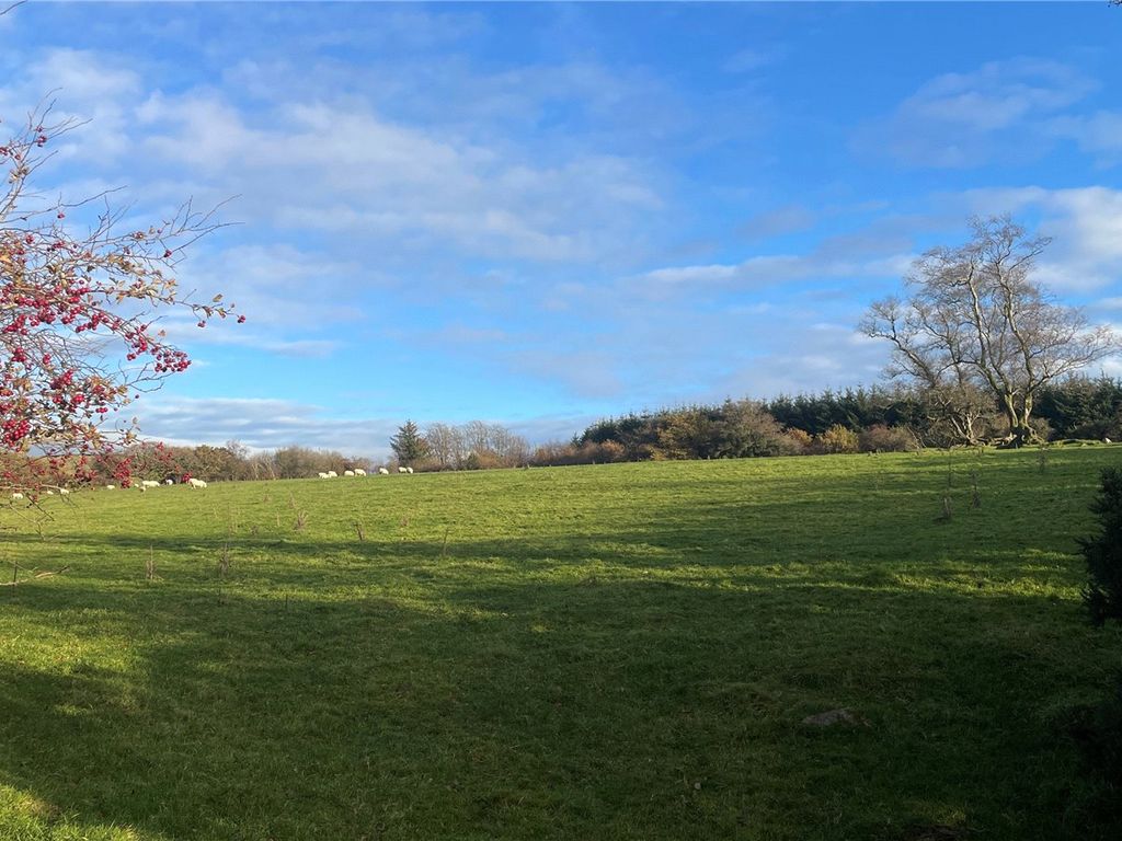 Land for sale in Bryngwyn, Gwynfe Road, Ffairfach, Llandeilo SA19, £ ...