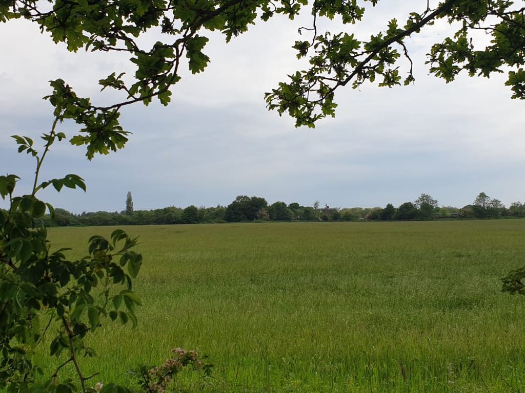 Land for sale in Hall Lane, Dickleburgh, Dis IP21 - Zoopla