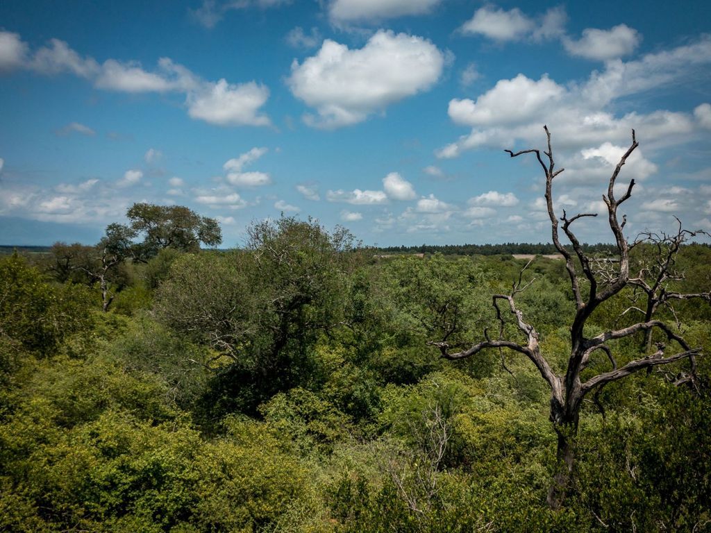 Land for sale in 1316 Zandspruit Bush And Aero Estate, 1316 Zandspruit ...