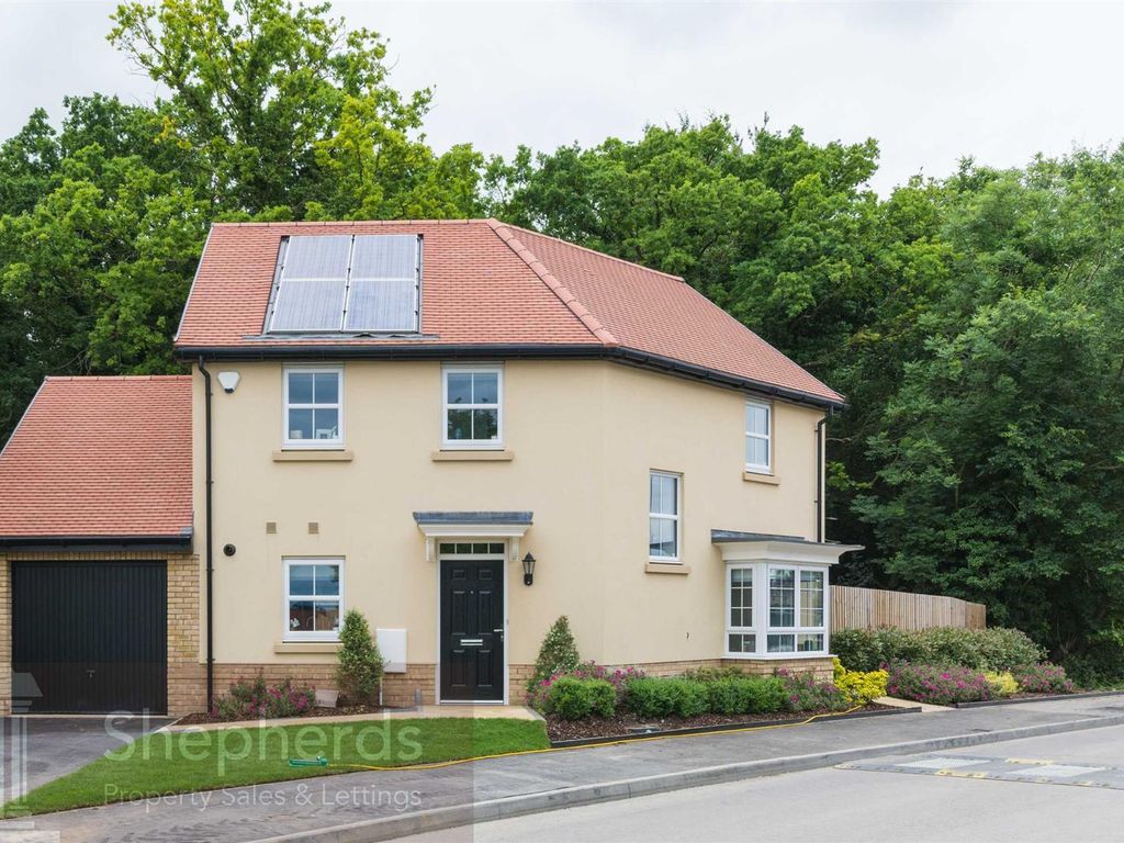 3 bed detached house to rent in Isabel Drive, Elsenham, Bishop's ...