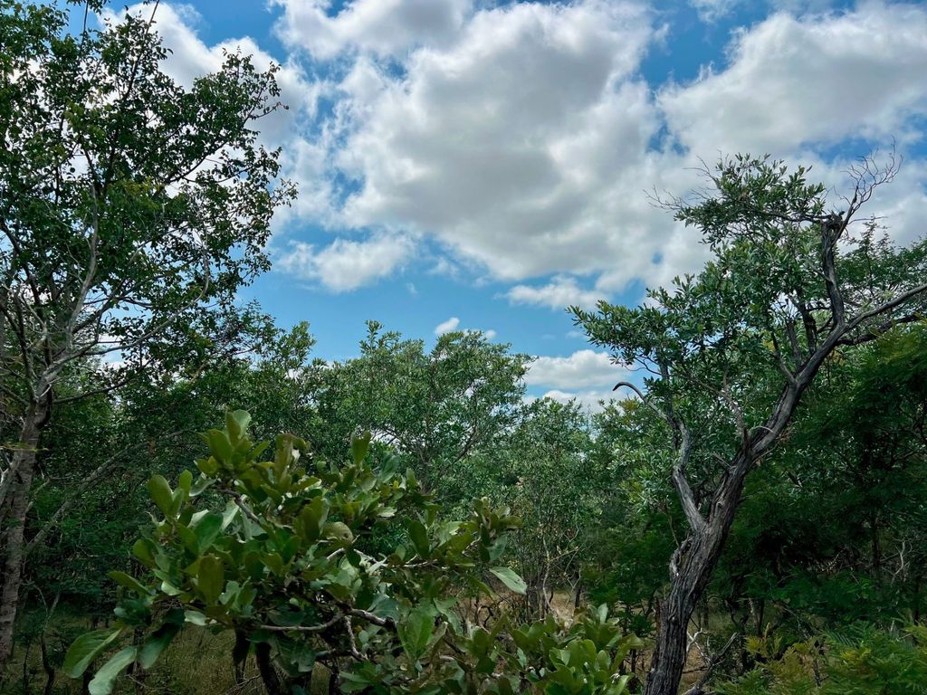 Land for sale in 191 Moria, 191 Moria, Moditlo Nature Reserve ...