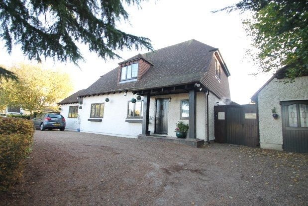 4 bed property to rent in Leaves Green Road, Keston BR2 - Zoopla