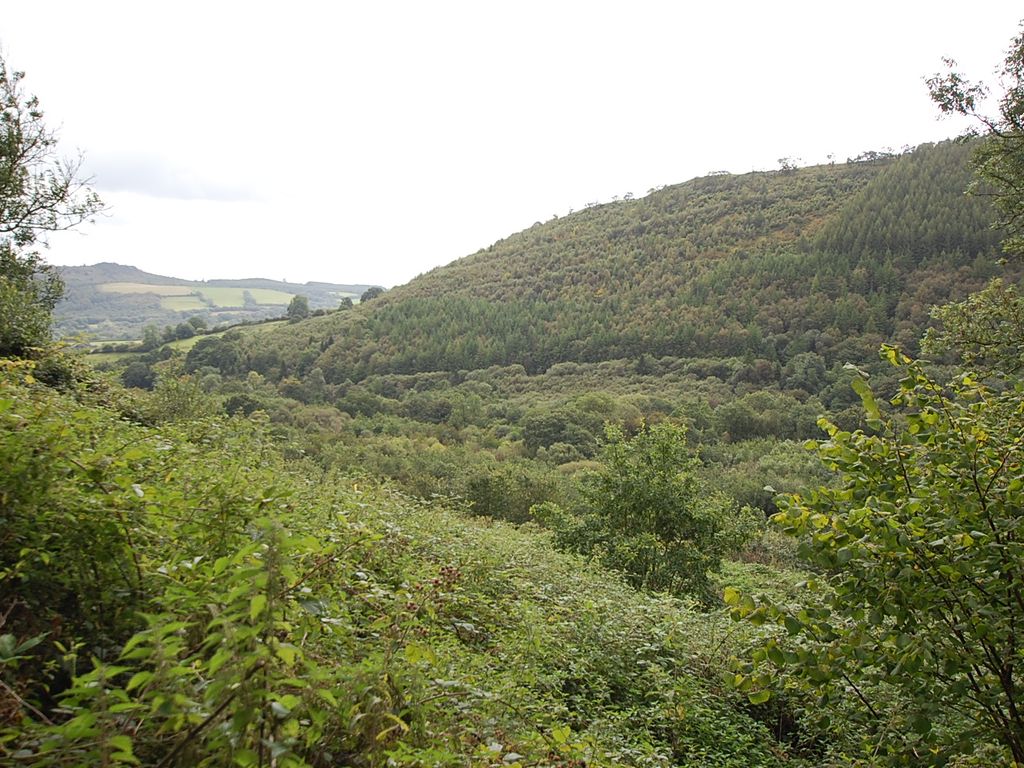 Land for sale in Talley, Llandeilo SA19 - Zoopla