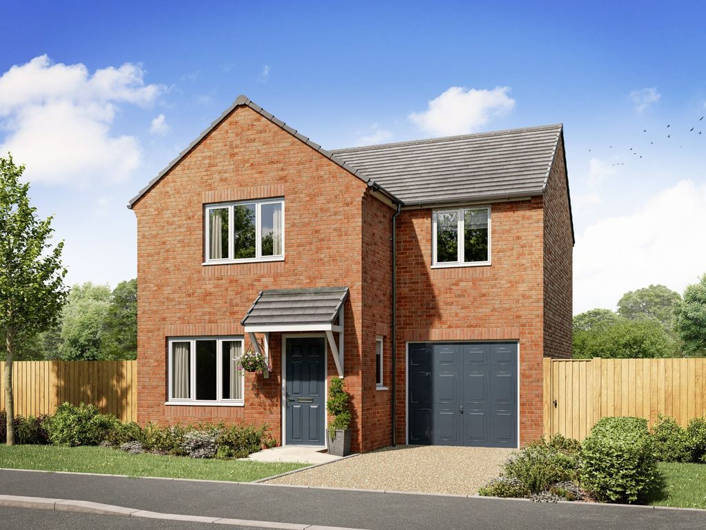 New home, 3 bed detached house for sale in "Kildare" at Grebe Way ...