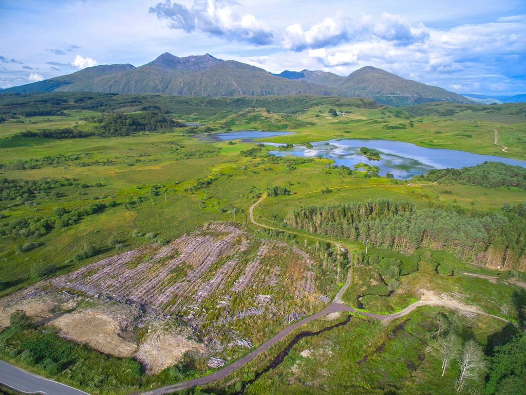 Land for sale in Ballimore Estate, Kilchrenan PA35, £94,995 - Zoopla