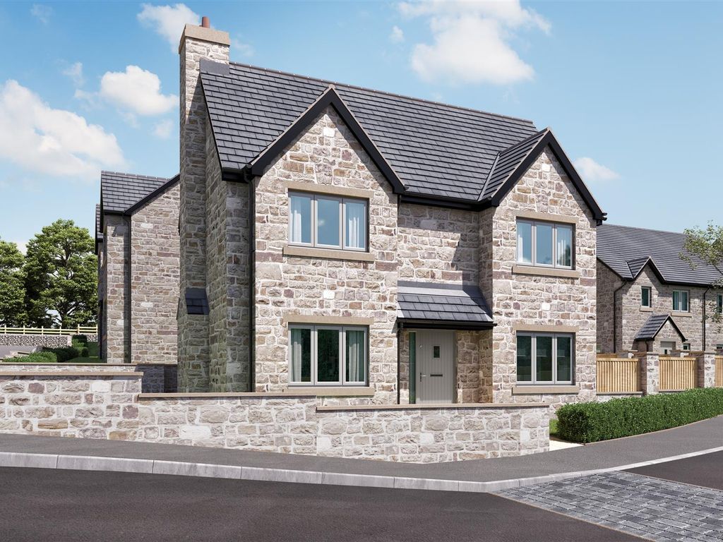 New home, 4 bed detached house for sale in Meadow Edge Close, Higher ...