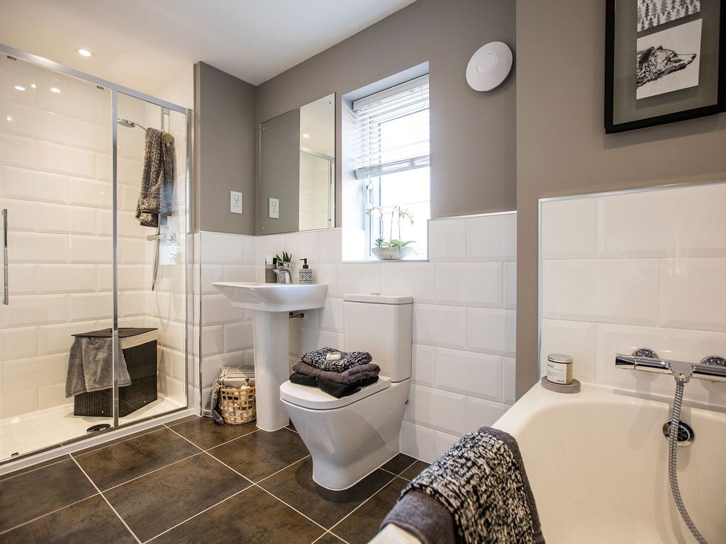 New home, 3 bed semi-detached house for sale in "The Tanner" at Crocus ...