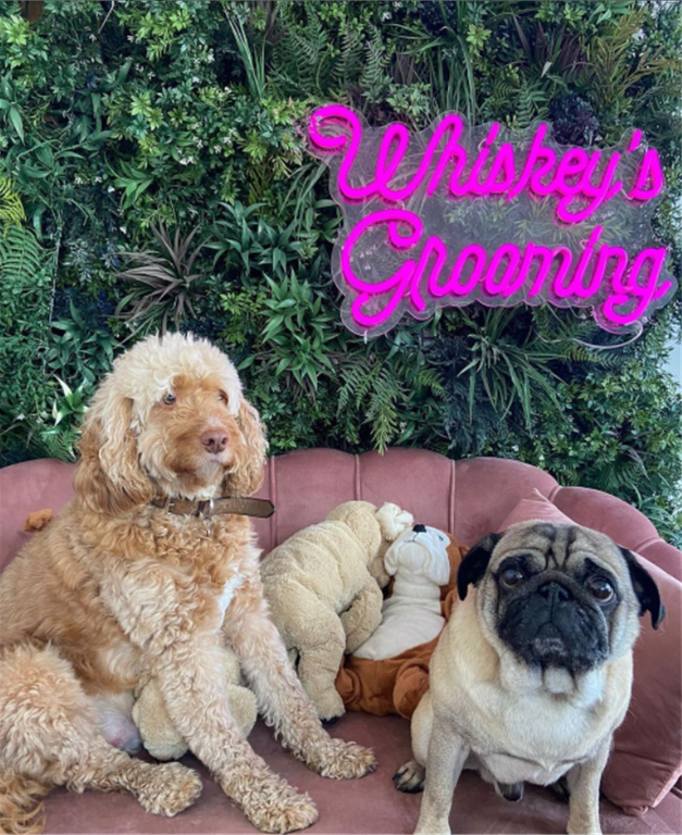 Retail premises for sale in A Luxury Dog Grooming Spa N1, London, £ ...