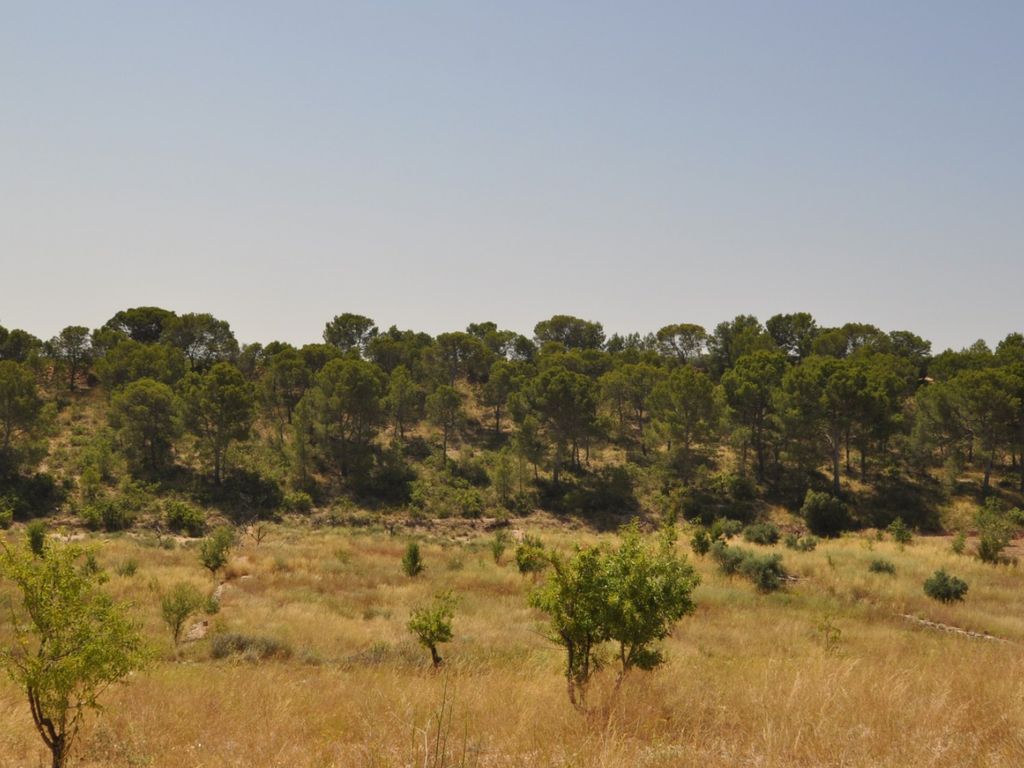 Land for sale in 03657 Raspay, Murcia, Spain - Zoopla