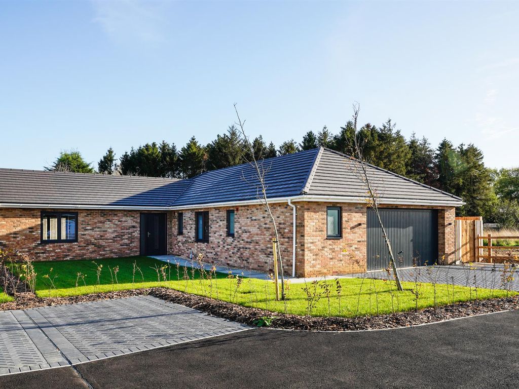 New home, 3 bed detached bungalow for sale in Vizard Place, Ash Lane ...