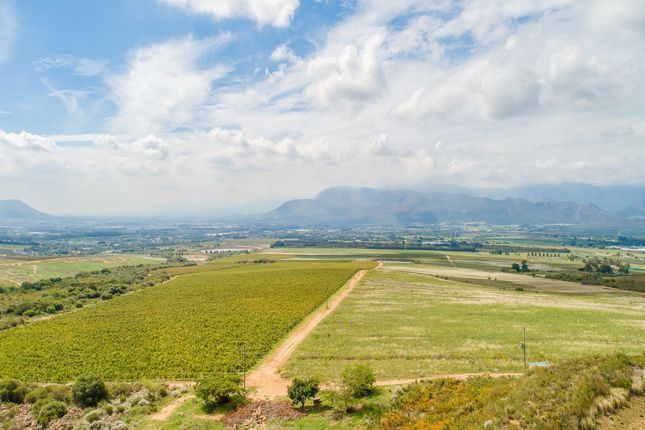 Plaisir Wine Estate Farm 8, Simondium, Cape Winelands, Western Cape ...