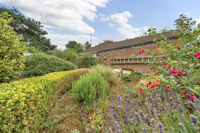 Bouverie Road, Hardingstone Northampton NN4, 2 bedroom detached ...