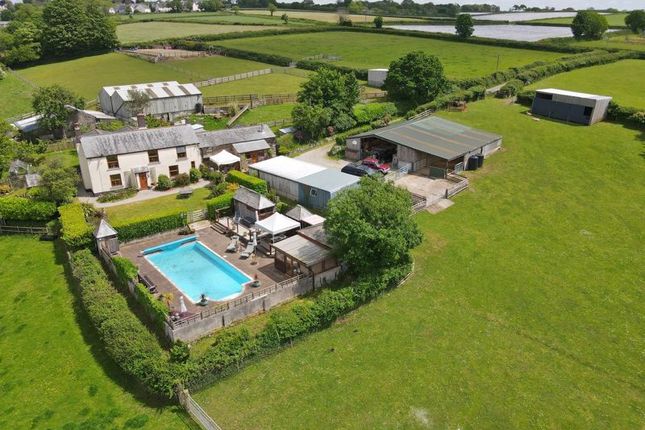 Homes For Sale In Bere Alston Yelverton Pl20 Buy Property In Bere