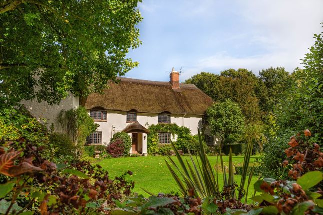 Houses for Sale in Devon - Devon Houses to Buy - Primelocation