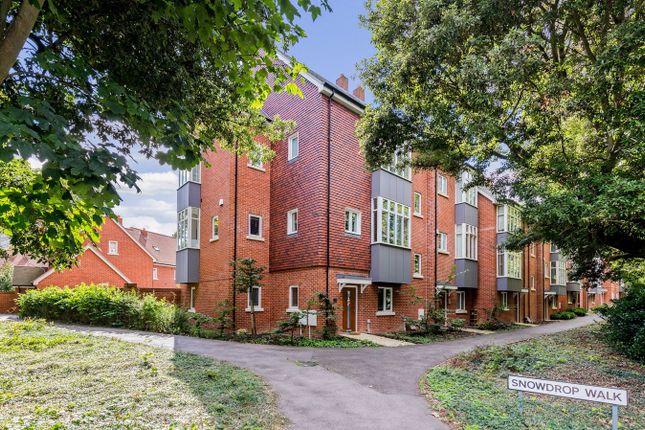 Shorncliffe Road, Folkestone CT20, 4 bedroom semi-detached house for ...