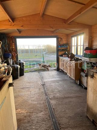 Westray, Orkney KW17, 8 bedroom property for sale - 62063994 ...