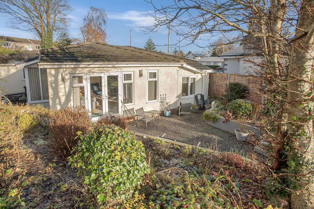 Sycamore Grove, Ackenthwaite LA7, 5 bedroom detached bungalow for sale ...