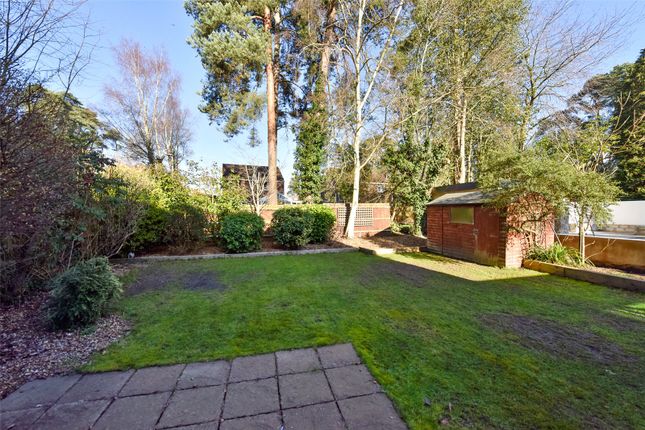 Barkham Ride, Finchampstead, Wokingham, Berkshire RG40, 3 bedroom ...