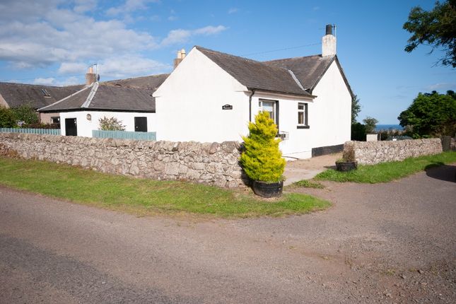 Homes to Let in Arbroath - Rent Property in Arbroath - Primelocation