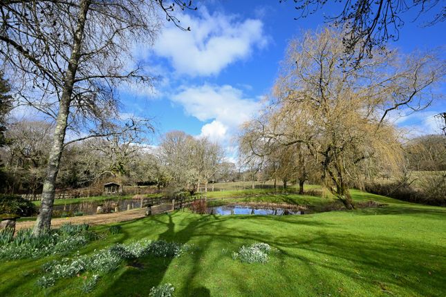 Blissford, Fordingbridge SP6, 4 bedroom country house for sale ...