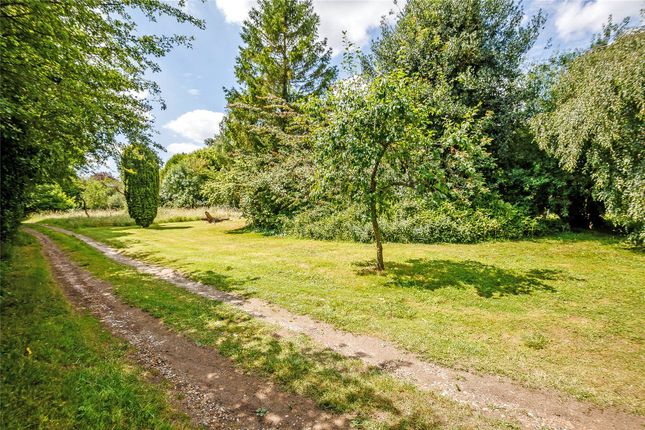 The Ford, Hadham Ford, Little Hadham, Hertfordshire SG11, 4 bedroom ...