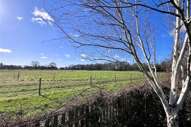 Pilley Hill, Pilley, Lymington, Hampshire SO41, 4 bedroom semi-detached ...