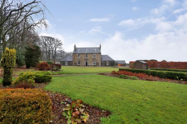 Homes to Let in Ellon - Rent Property in Ellon - Primelocation