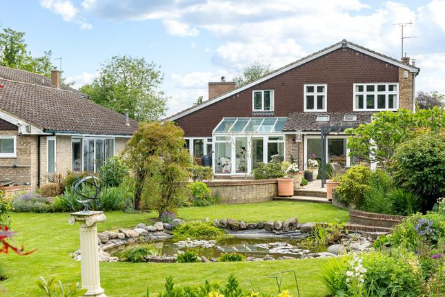 Hebing End, Benington, Stevenage SG2, 5 bedroom detached house for sale ...