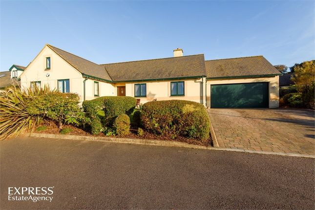 Homes for Sale in Portishead - Buy Property in Portishead - Primelocation