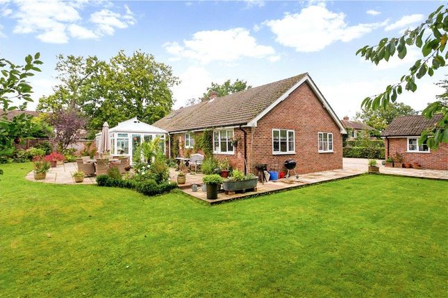 Wolverton Common, Tadley, Hampshire RG26, 4 bedroom bungalow for sale ...