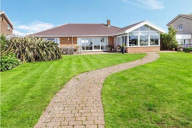 Houses for Sale in Sanderling Way, Porthcawl CF36 - Sanderling Way ...