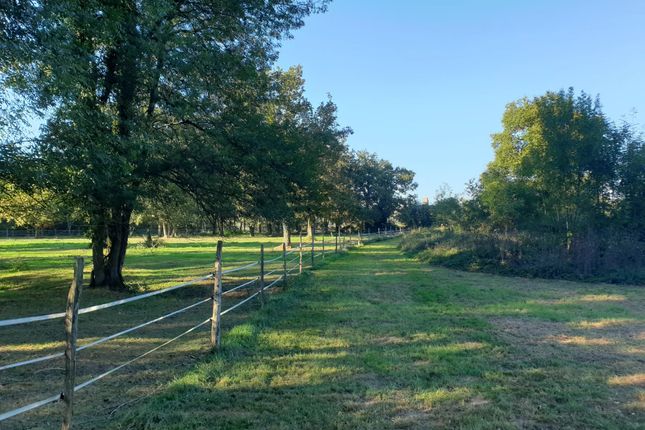 Riscle, Midi-Pyrenees, 32400, France, 8 bedroom farmhouse for sale ...