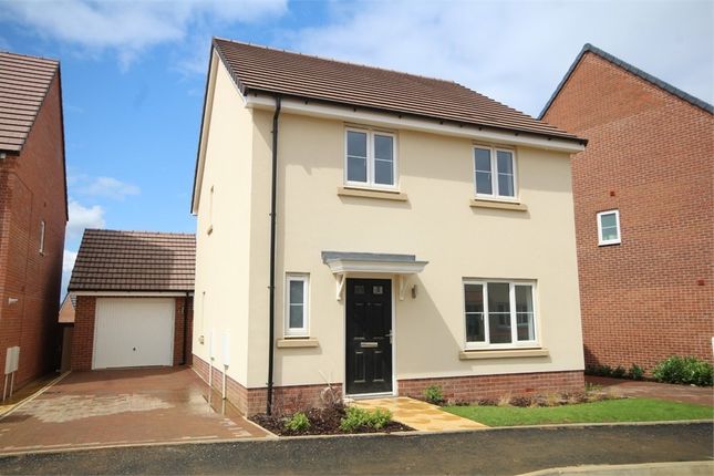 Homes to Let in Kettering - Rent Property in Kettering - Primelocation