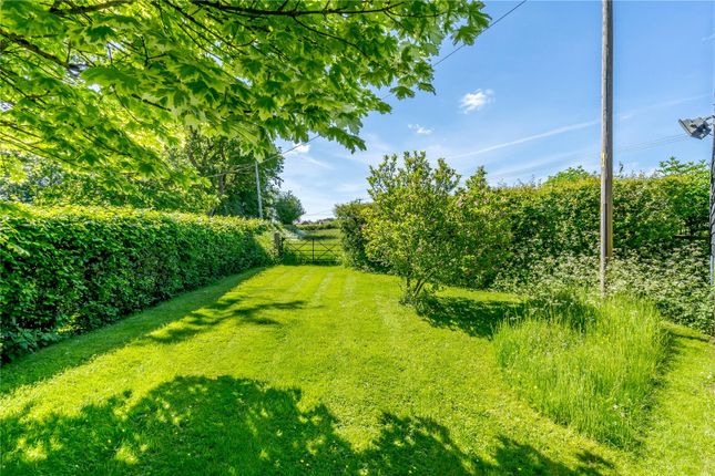 Church Lane, Hastoe, Tring, Hertfordshire HP23, 5 bedroom equestrian ...
