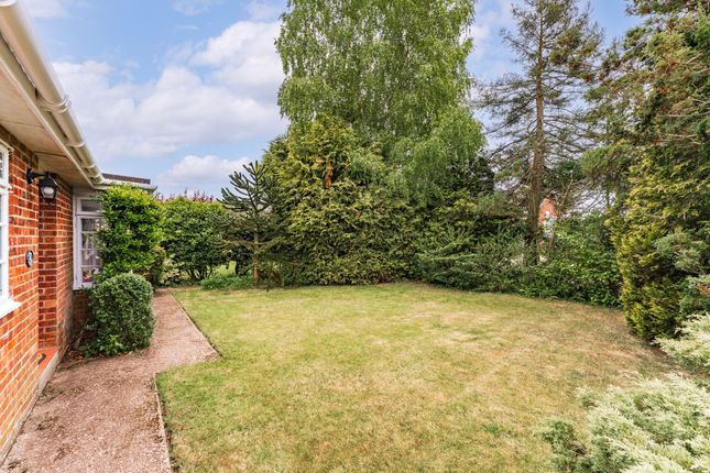Lime Tree Crescent, Little Fransham NR19, 3 bedroom detached bungalow ...