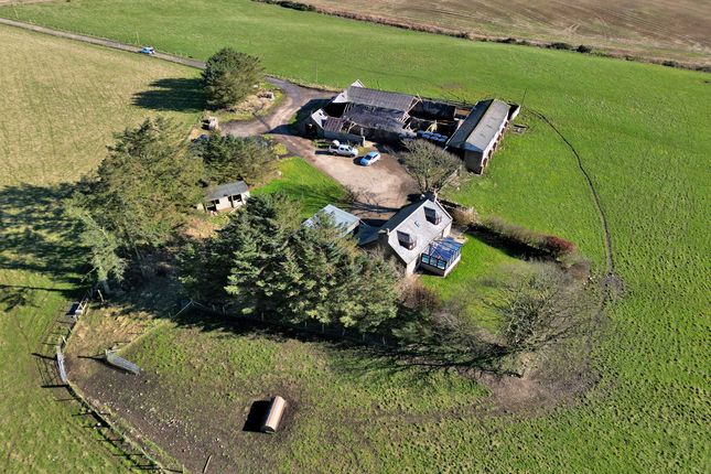 Hatton, Peterhead AB42, farm for sale - 66915729 | PrimeLocation