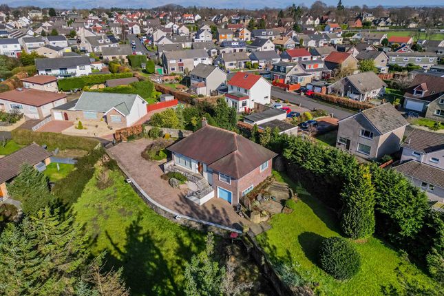 Homes for Sale in Larbert - Buy Property in Larbert - Primelocation