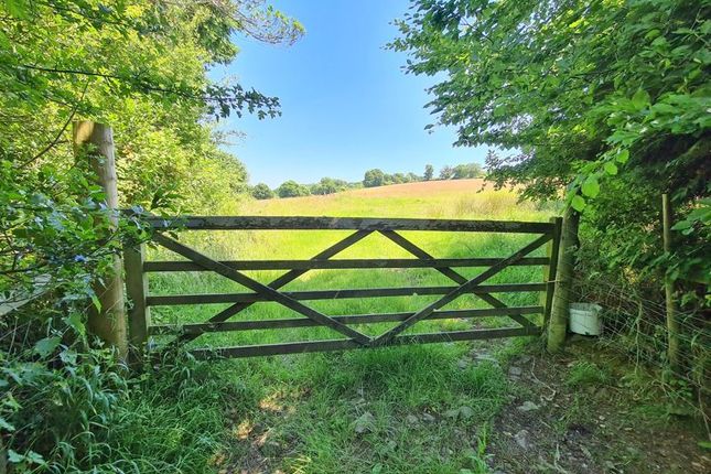 Exbourne, Okehampton EX20, 3 bedroom detached house for sale - 62631454 ...