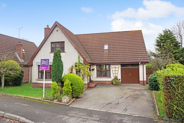 Homes For Sale In Castlelodge Avenue Comber Newtownards Bt23 Buy
