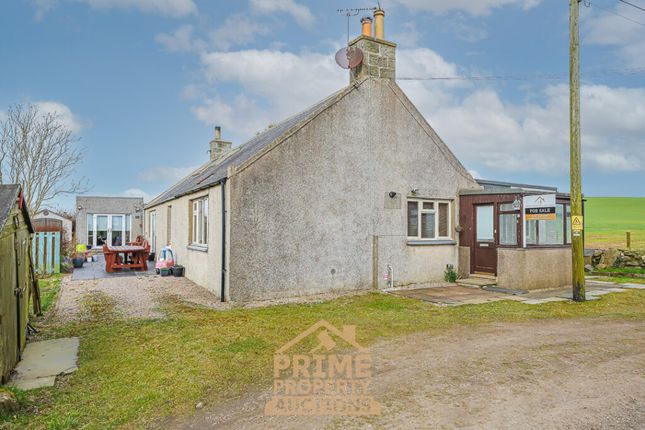 Houses for Sale in Ellon - Ellon Houses to Buy - Primelocation
