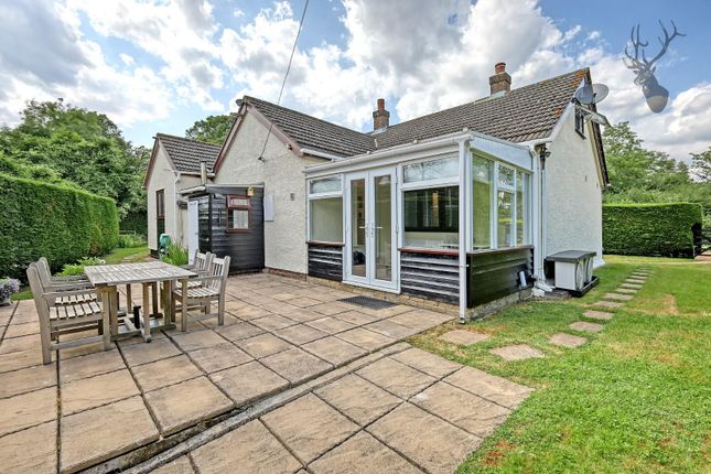 Epping Long Green, Epping Green, Epping CM16, 4 bedroom detached ...