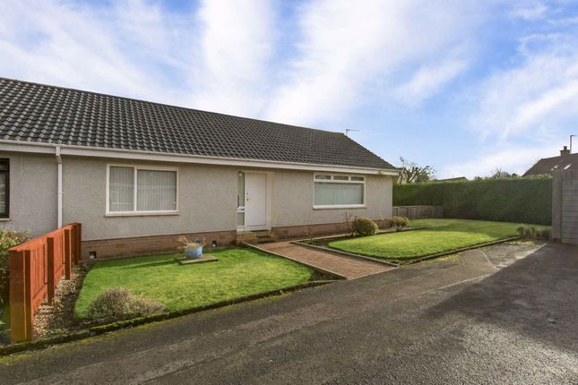 Houses for Sale in New Scone - New Scone Houses to Buy - Primelocation