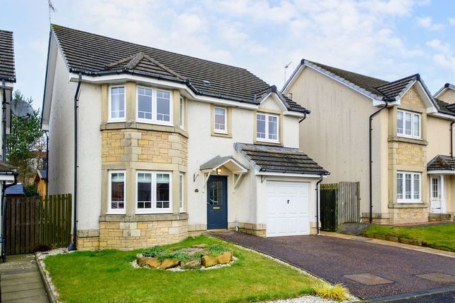 Homes for Sale in Falkirk - Buy Property in Falkirk - Primelocation