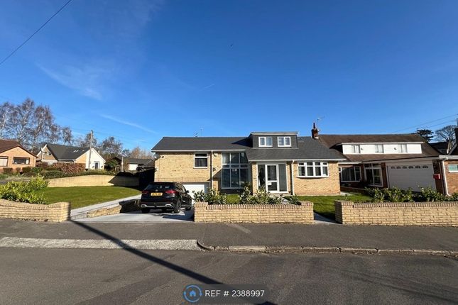 Homes to Let in Hull - Rent Property in Hull - Primelocation
