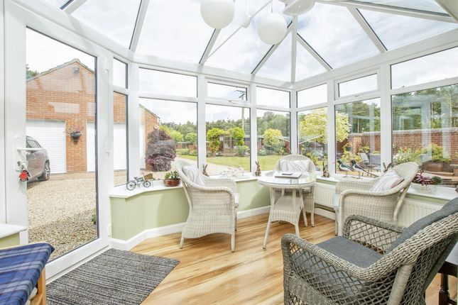 Shortthorn Road, Stratton Strawless, Norwich NR10, 3 bedroom bungalow ...